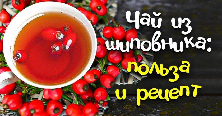 Как приготовить чай из шиповника: его польза - Со Вкусом