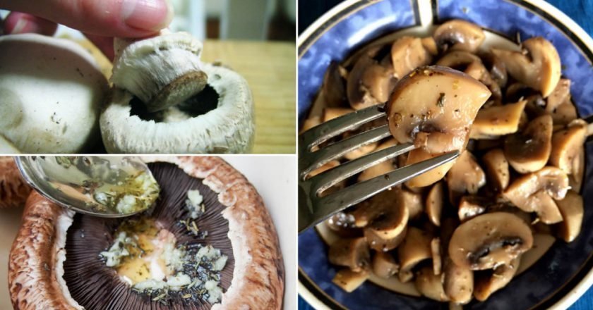 Как приготовить шампиньоны: 3 проверенных рецепта- Со Вкусом