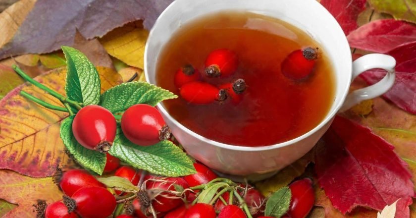 Как заварить шиповник: правильная технология - Со Вкусом