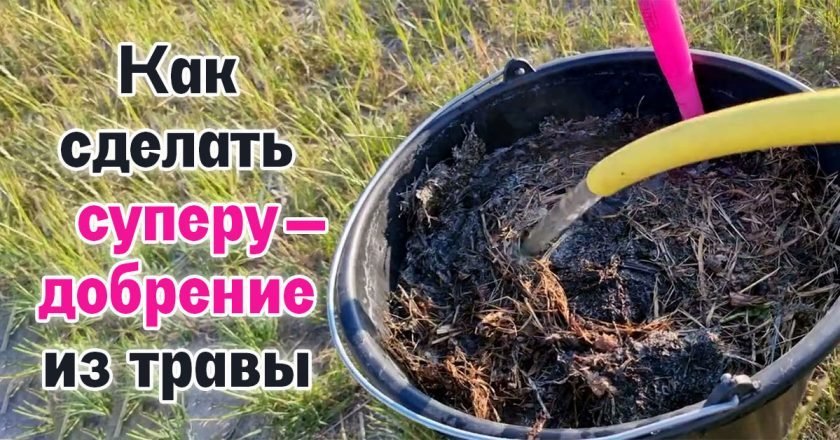 Удобрение из травы как его сделать Со Вкусом